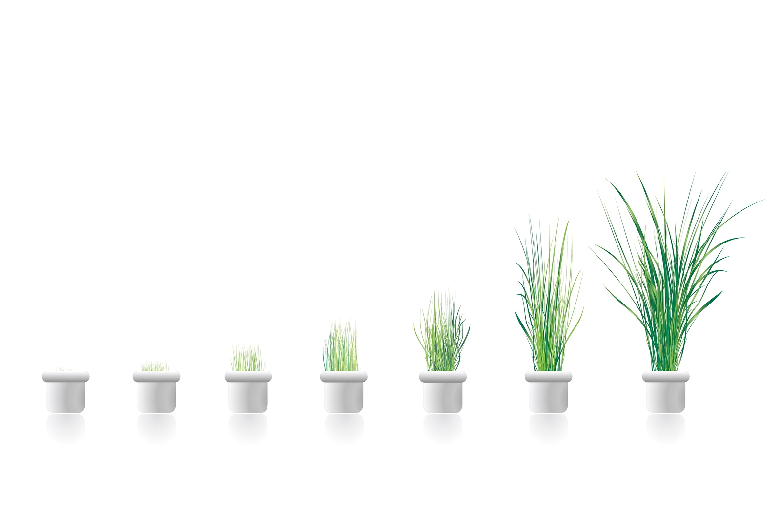 6 Steps to Lead Nurturing Success